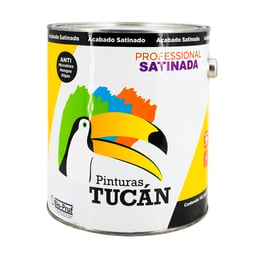 Pintura | plaza lama